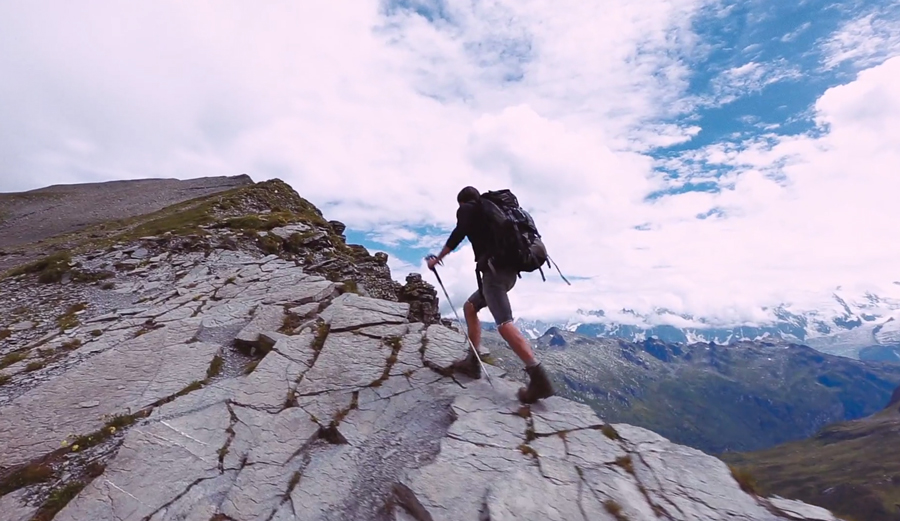 Feel the Wild Within | The Inertia