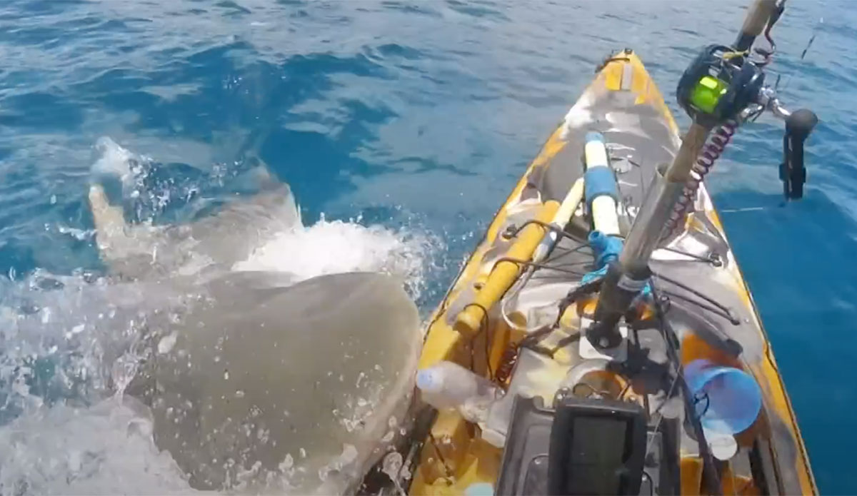 Watch This Fisherman's Kayak Get Hit by a Tiger Shark in Hawaii
