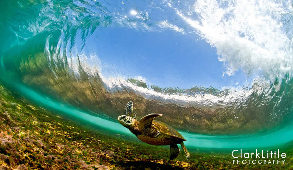 20 Waves That Looked Better From Behind | The Inertia