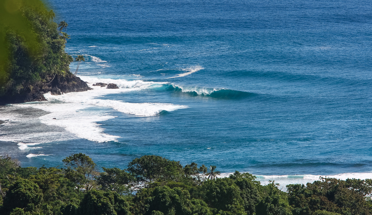 Why the Need to Explore is in Our Blood | The Inertia