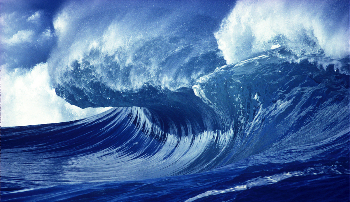 Brian Bielmann: The Inertia 2014 Portfolio Challenge Winner (Editor's ...