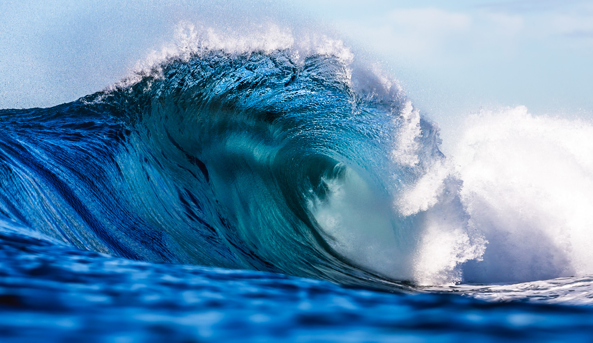 24 Captures at Sea: Through the Looking Glass | The Inertia