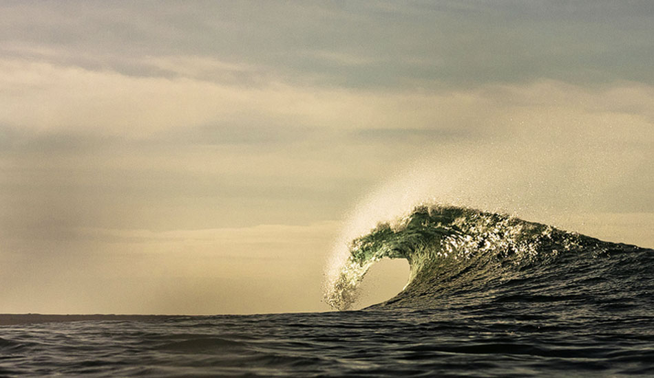 Fantastic 50: The Best Photos of February | The Inertia