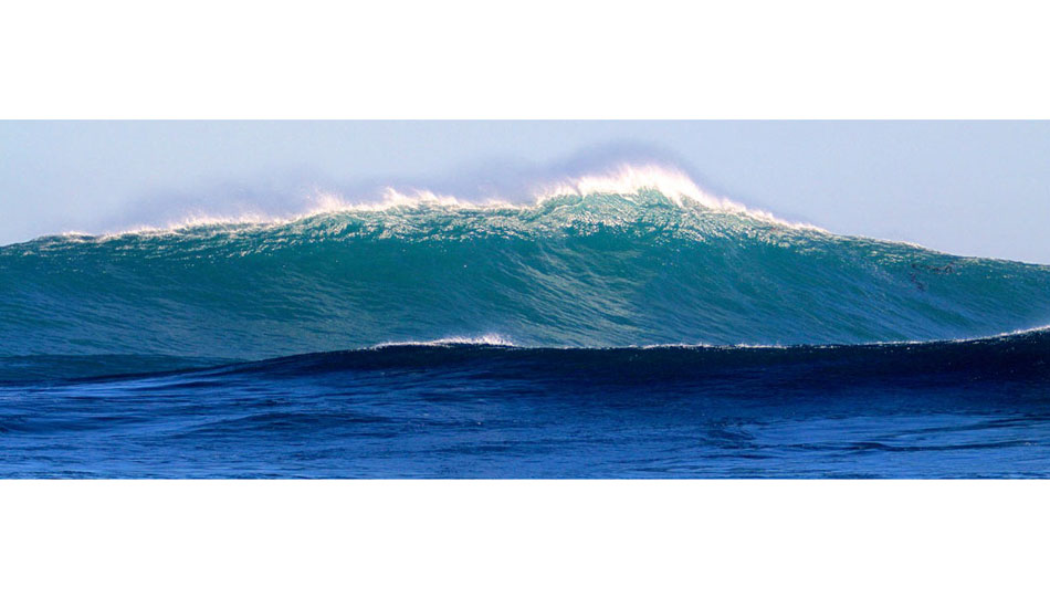 Defying Death, Dolphins, and Damn Near Perfect | The Inertia