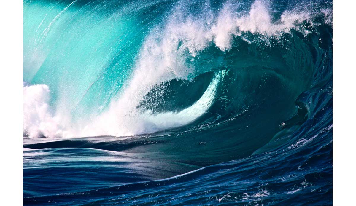 Mutant Waves Strike South of Sydney | The Inertia