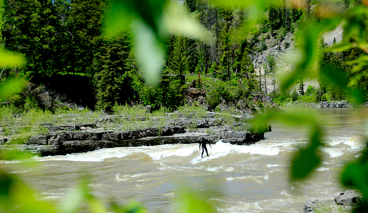 15 of Our Favorite January Photo Submissions | The Inertia