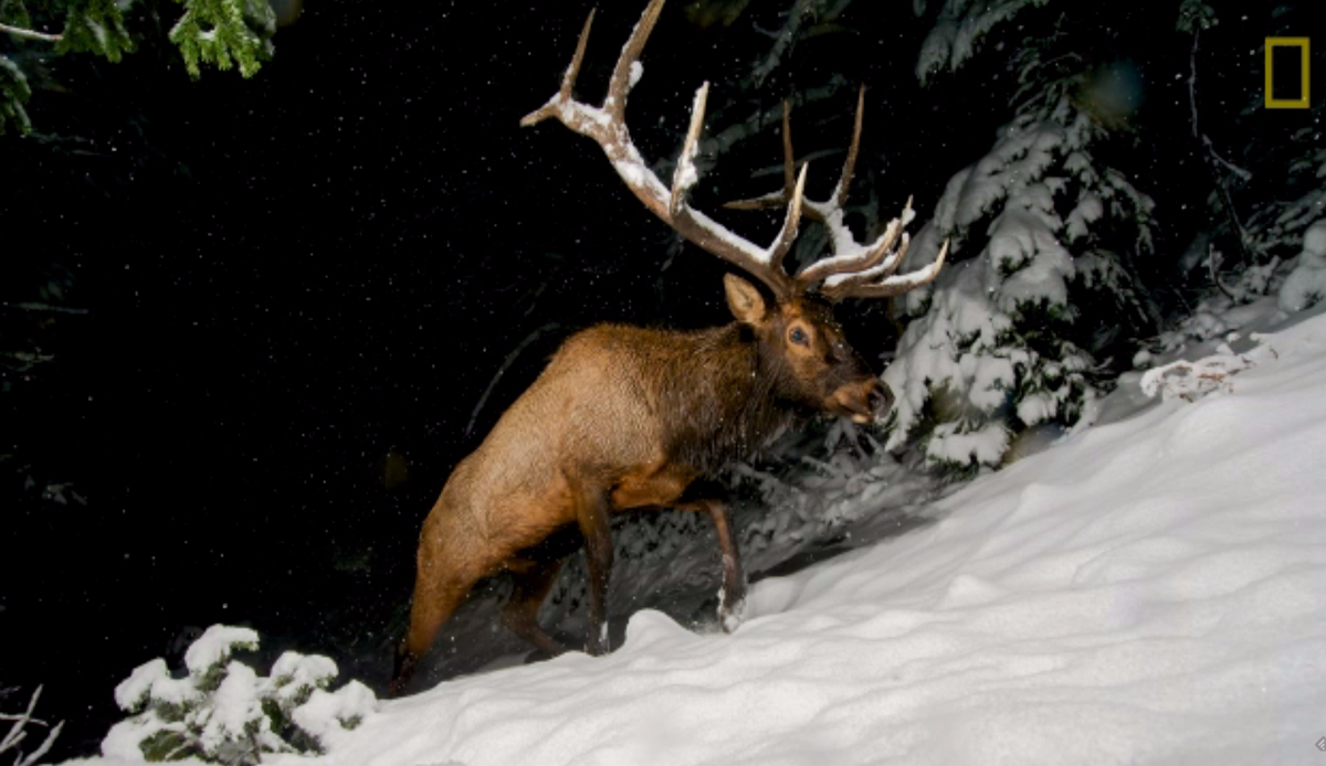 Meet Joe: “A Wild Mind Sounds Pretty Good to Me” | The Inertia