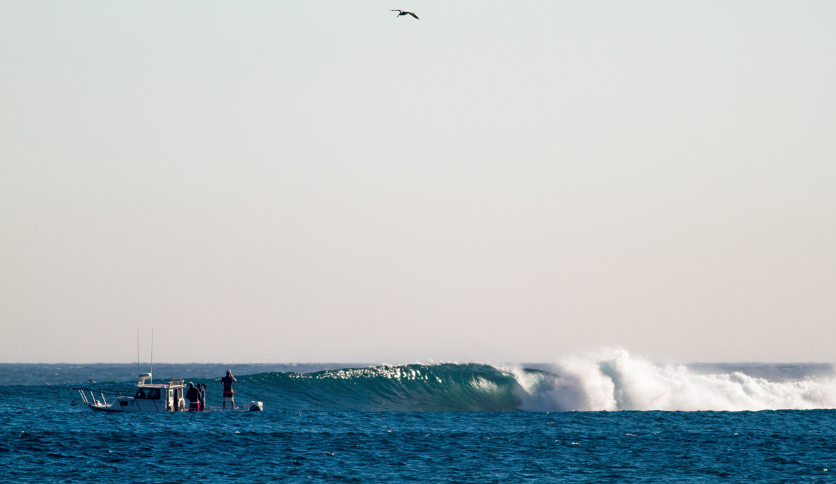 #My5Lineups: Josh Gill | The Inertia