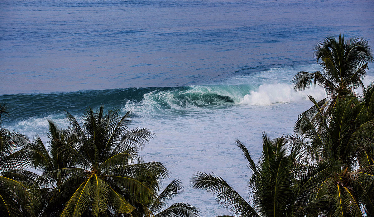 The Beginning of a Passionate Journey | The Inertia