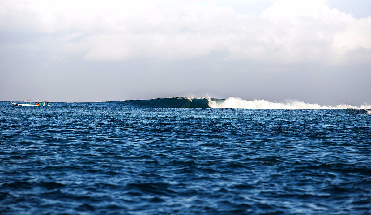 The Beginning of a Passionate Journey | The Inertia