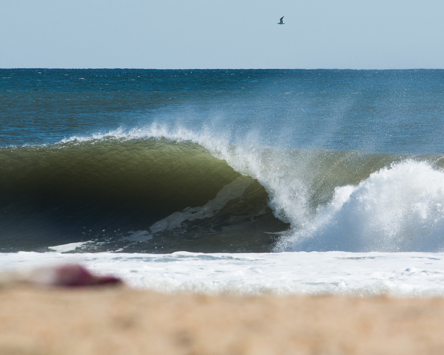 New Jersey Summer Goes Out With a Bang | The Inertia