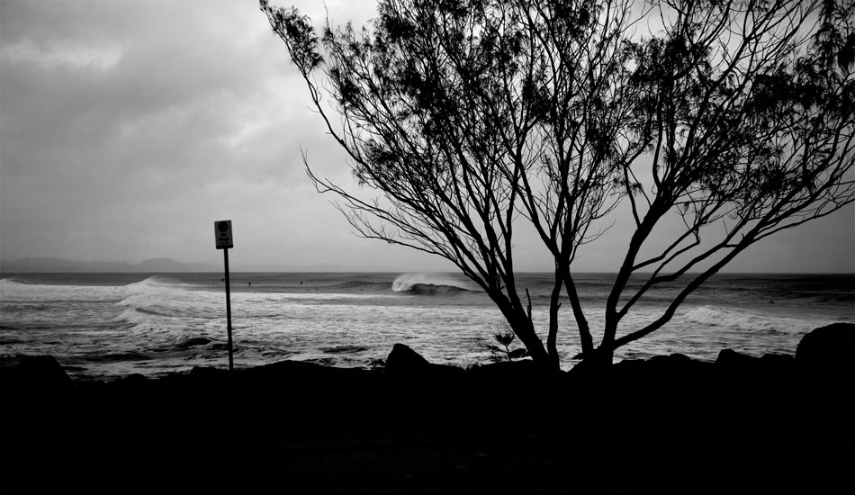 Bluesphere Selections | The Inertia