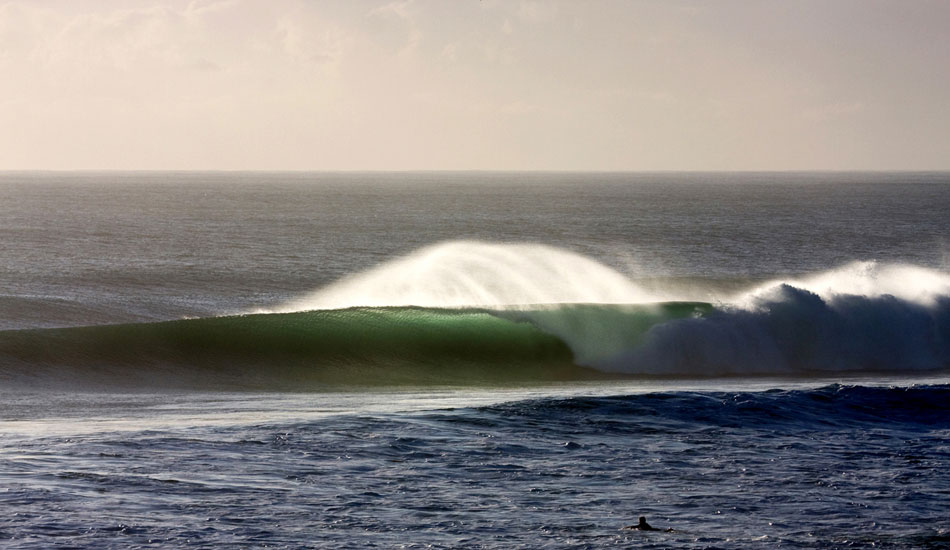 Bluesphere Selections | The Inertia