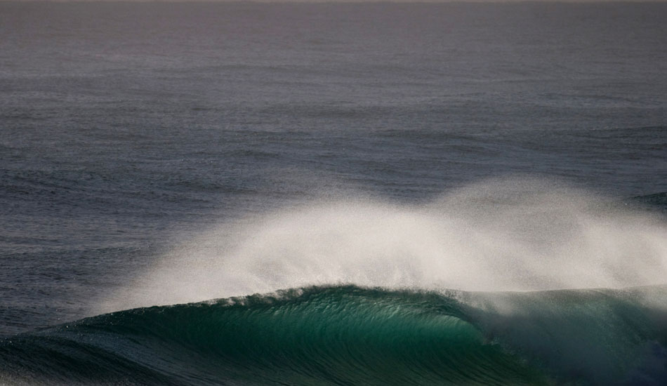 Bluesphere Selections | The Inertia