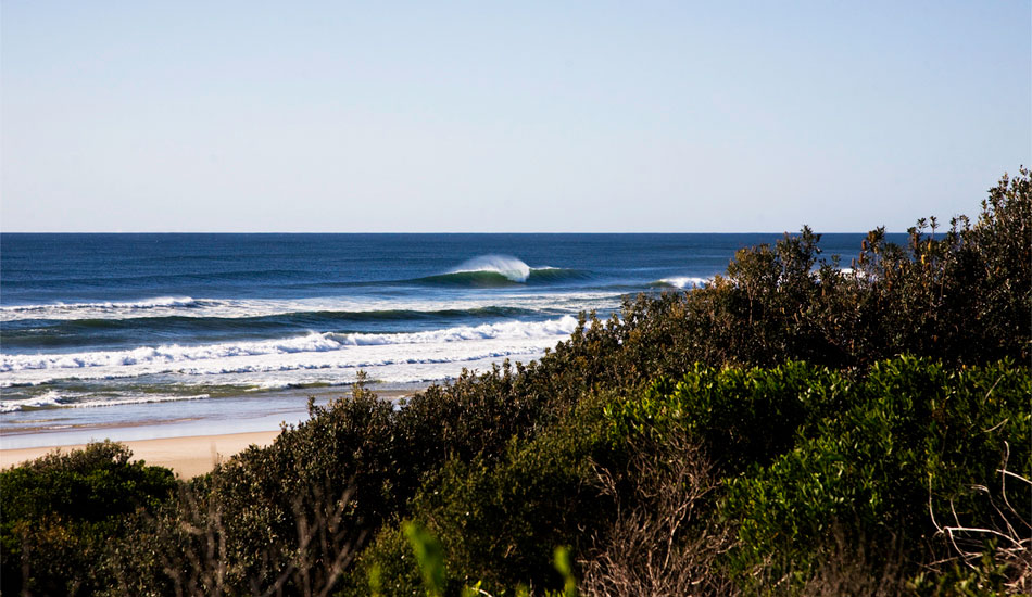 Bluesphere Selections | The Inertia