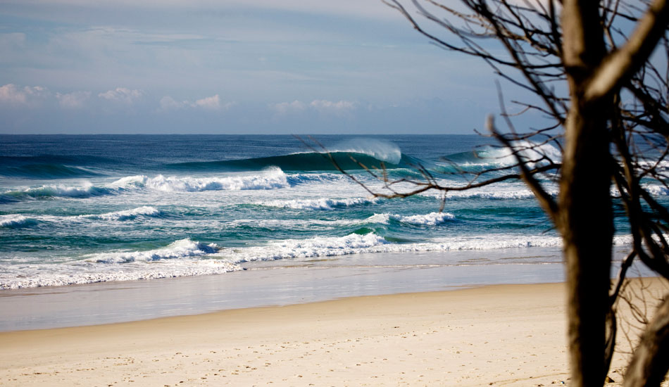 Bluesphere Selections | The Inertia