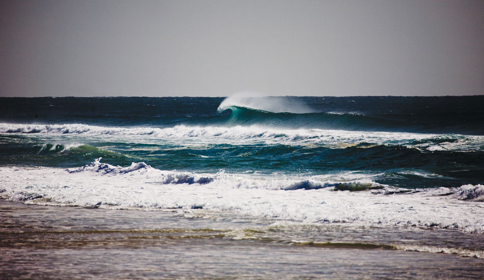 Bluesphere Selections | The Inertia