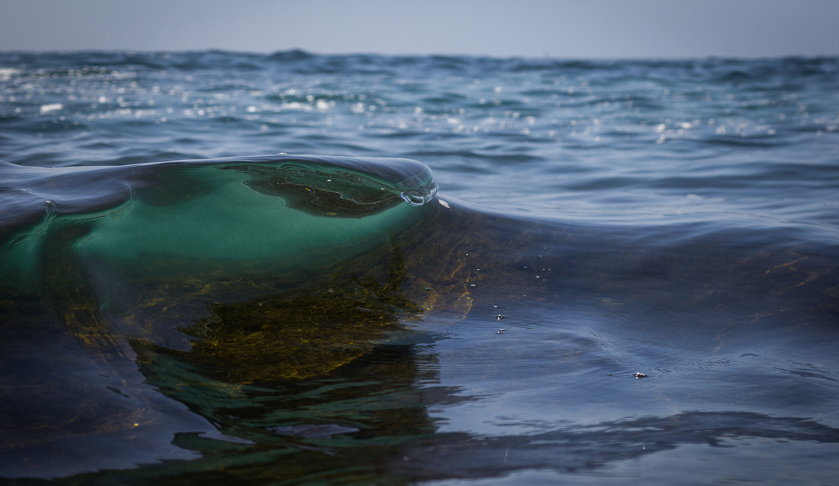 SoCal Spring Textures at the Wedge and Beyond | The Inertia