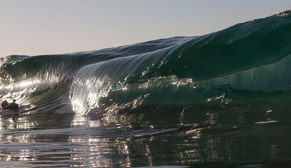 SoCal Spring Textures at the Wedge and Beyond | The Inertia
