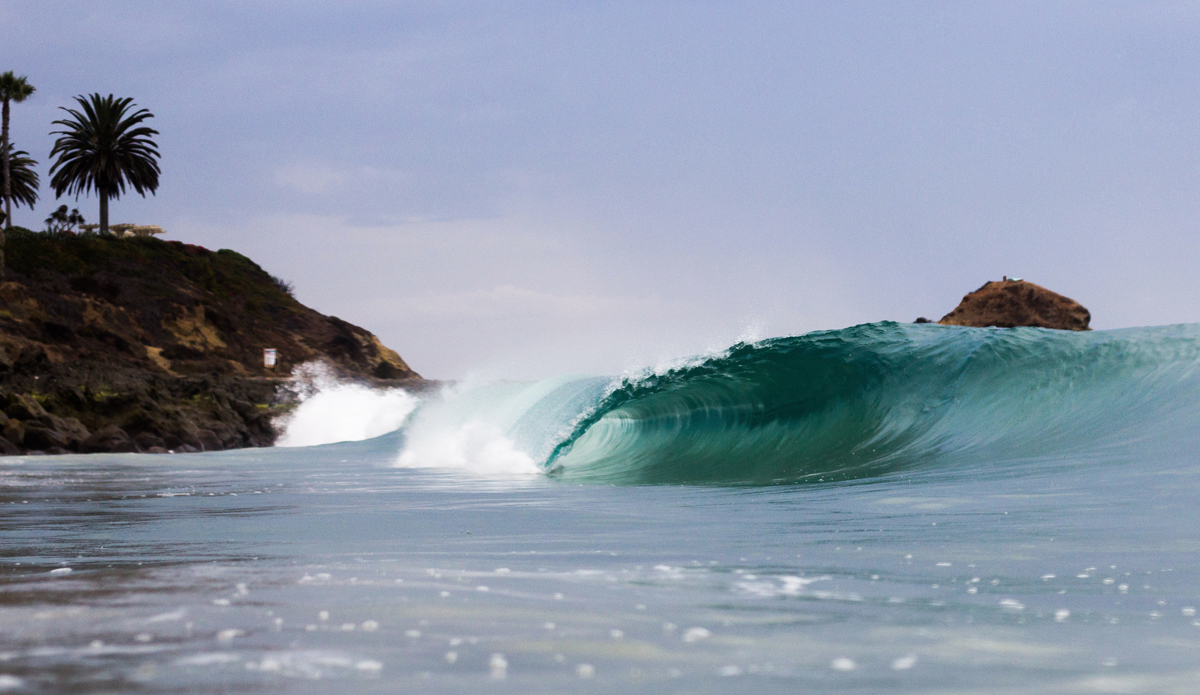 SoCal Spring Textures at the Wedge and Beyond | The Inertia