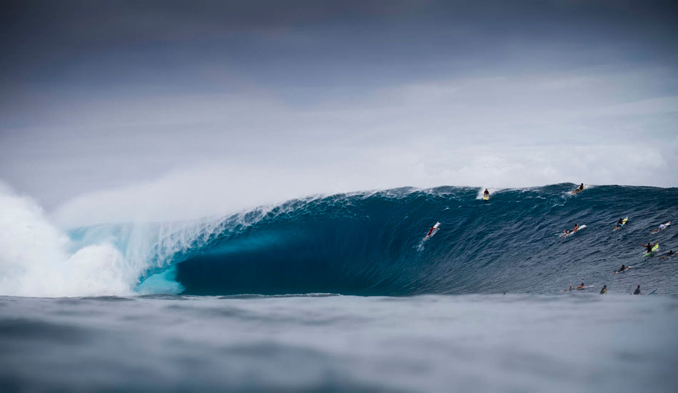 Portfolio: Stuart Gibson | The Inertia