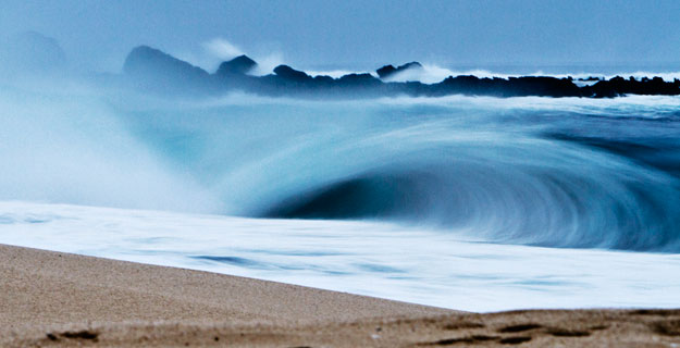 Portfolio: Ray Collins | The Inertia