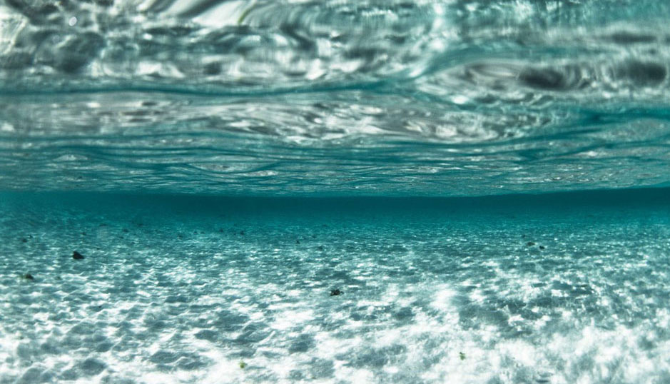 H2O Visions | The Inertia