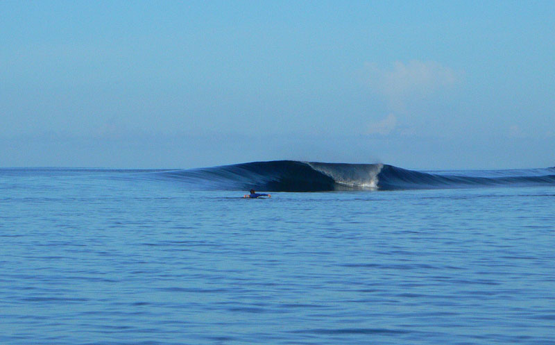 Salani Is Back! | The Inertia