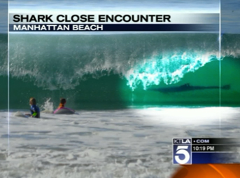 Shark Lurks Behind Young Surfers at Manhattan Beach | The Inertia