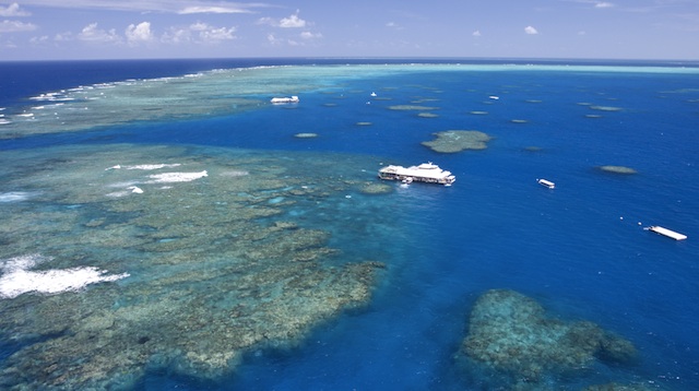 Green Light on Destruction of the Great Barrier Reef | The Inertia