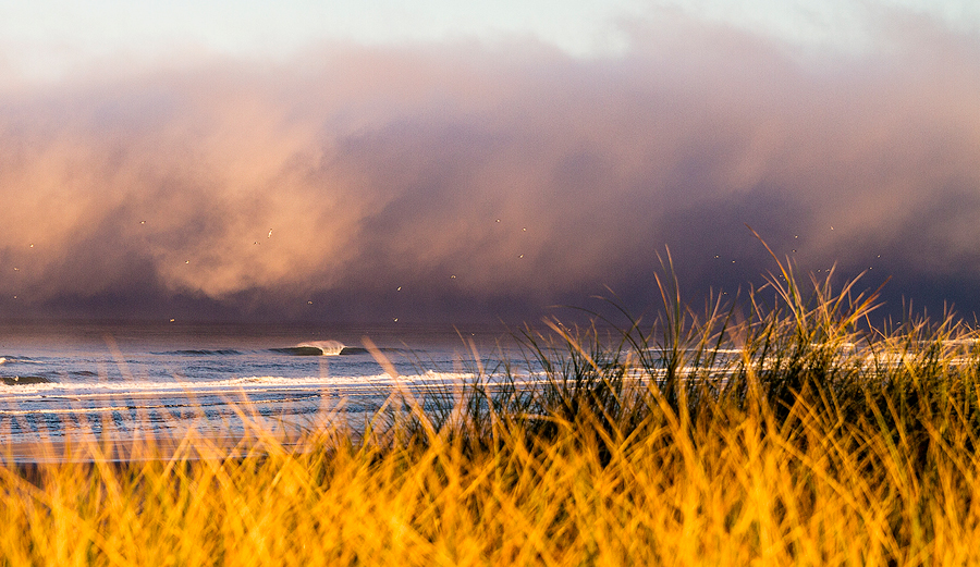 Endless Searching in the Evergreens | The Inertia