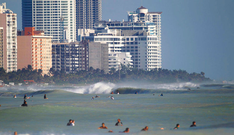 Freaking Florida | The Inertia