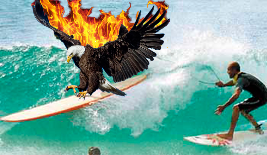 10 Reasons America Is The Best Surfing Nation On Earth | The Inertia