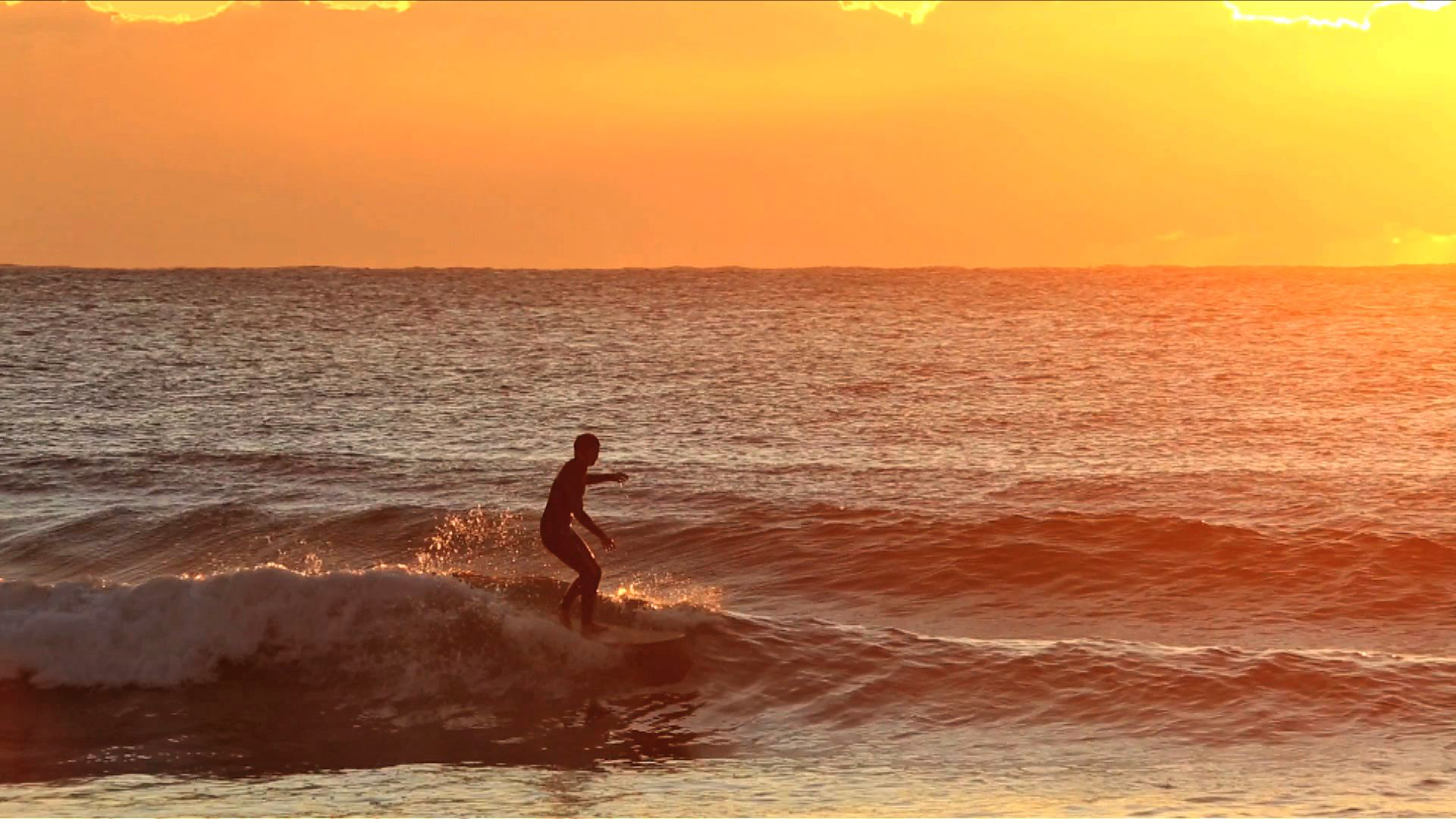 The Involvement Dream: Bindy Revisits Wayne Lynch's Classic | The Inertia