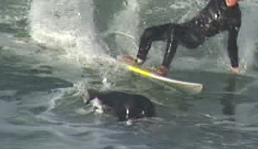 Close Call: Conner Coffin Nearly Has His Head Sliced Open via Cutback ...