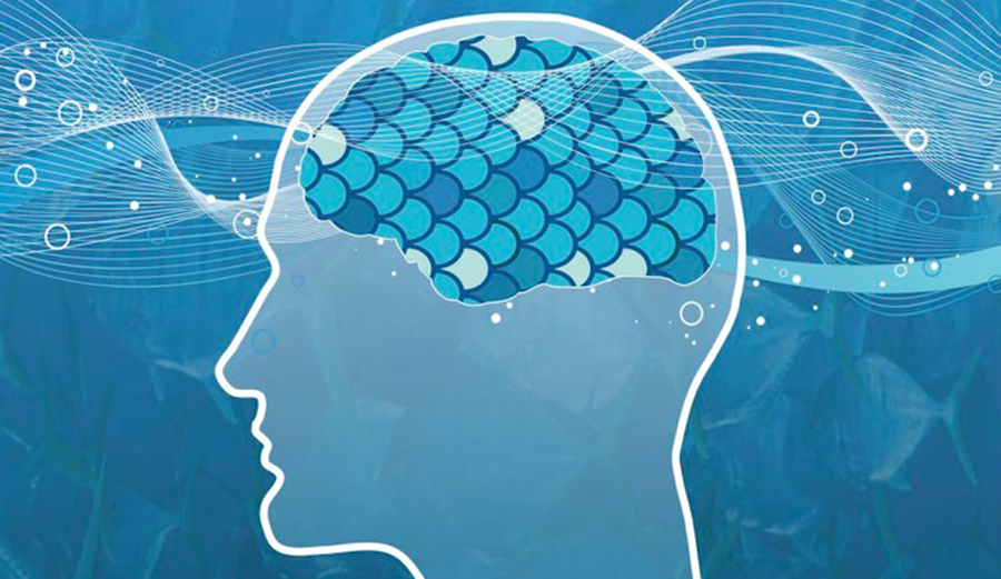 Water Makes Our Brains Smile: Blue Mind Reviewed | The Inertia