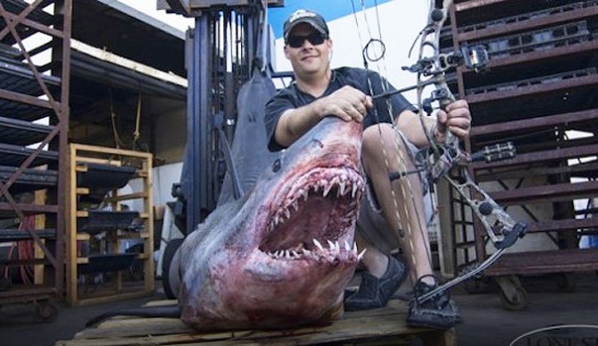 Man Shoots Massive ShaThis Guy Shot a Massive Shark With Bow and Fed it ...