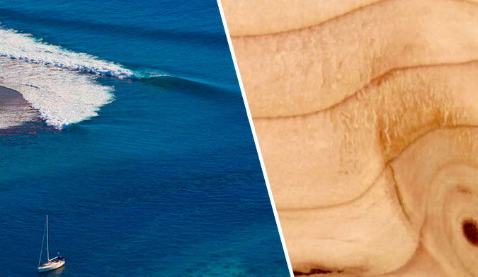 Wooden Waves: Artist Reveals Incredible Similarities Between Trees and ...