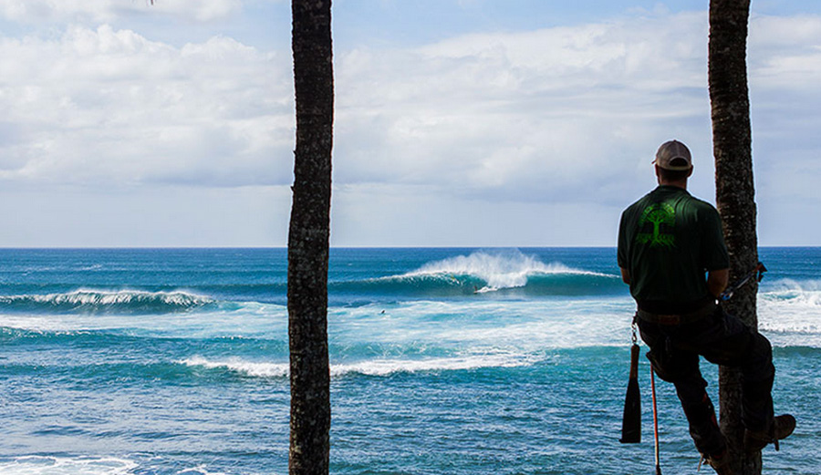 9 Ways You Know You’ve Been Out of the Water Too Much Lately | The Inertia