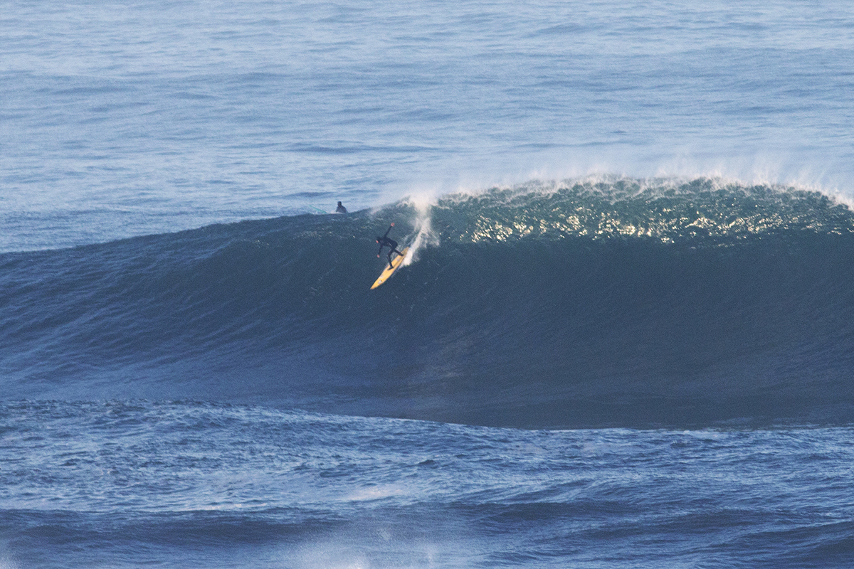 Mavericks Roars to Life | The Inertia