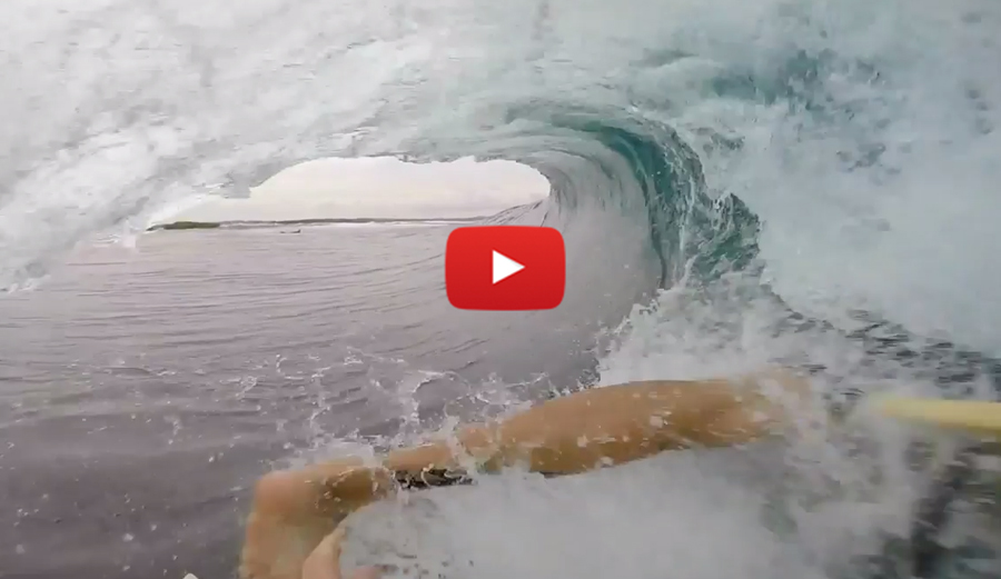 Wayward Duck Dive Delivers Donkey Kick to the Face | The Inertia