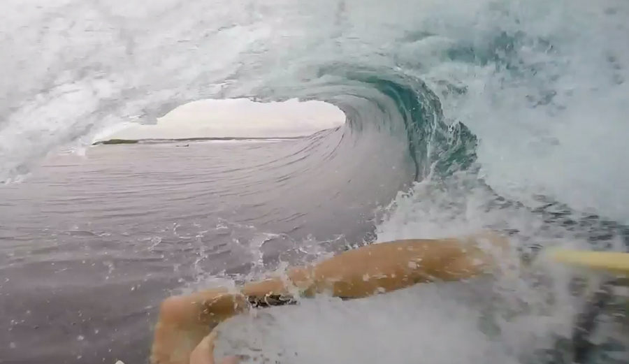 Wayward Duck Dive Delivers Donkey Kick to the Face | The Inertia