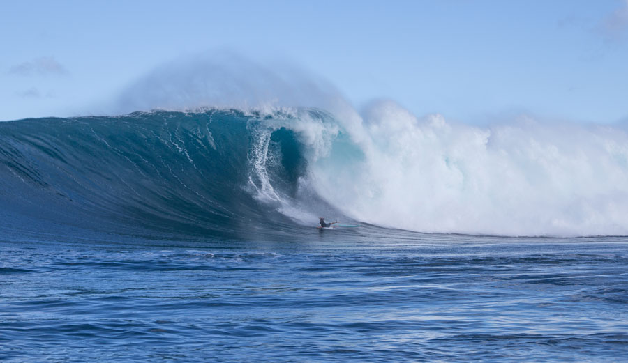 Jaws Awakens From Her Slumber | The Inertia