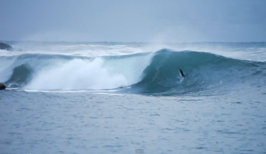 Bulgaria Has Waves? | The Inertia