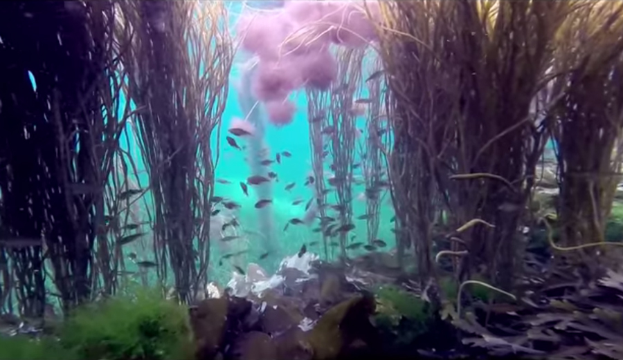 Northwest Scotland is a Cold Water Paradise | The Inertia