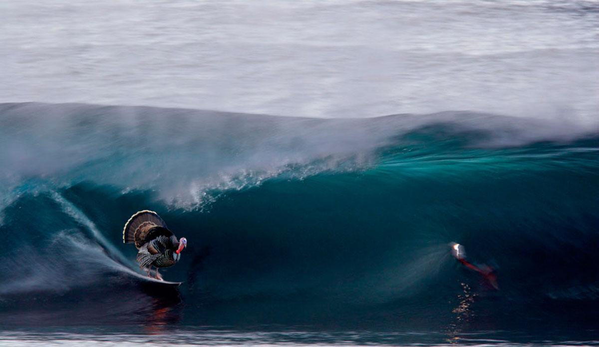 7 Images of Turkeys Getting Super Barreled | The Inertia