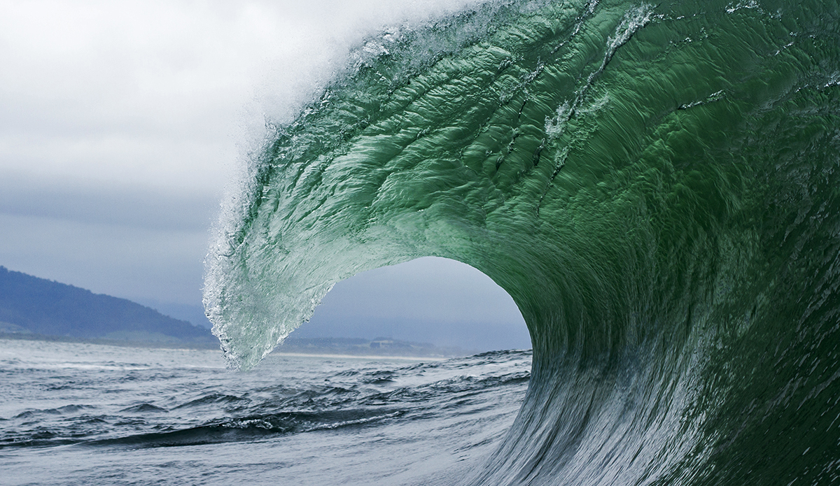 Ray Collins: The Inertia's 2014 Portfolio Challenge Winner | The Inertia