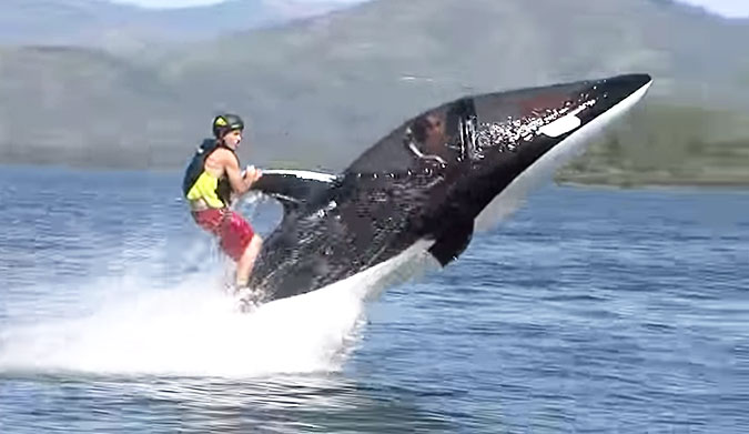 This Oddly Shaped Watercraft Might Be the Dumbest (or Coolest!) Thing ...