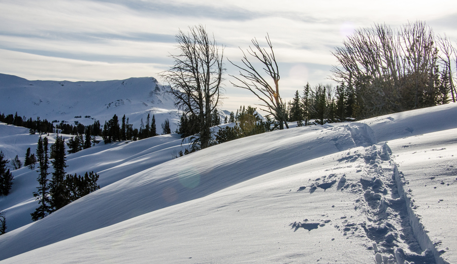 The Art of Skinning, Part 1: An Education | The Inertia