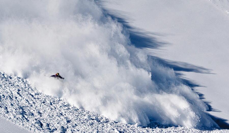 The Art of Skinning, Part 1: An Education | The Inertia